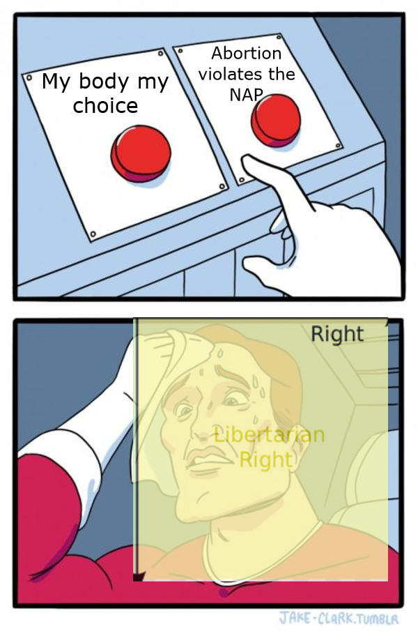 Libertarians after Roe V. Wade | /r/PoliticalCompassMemes | Political ...