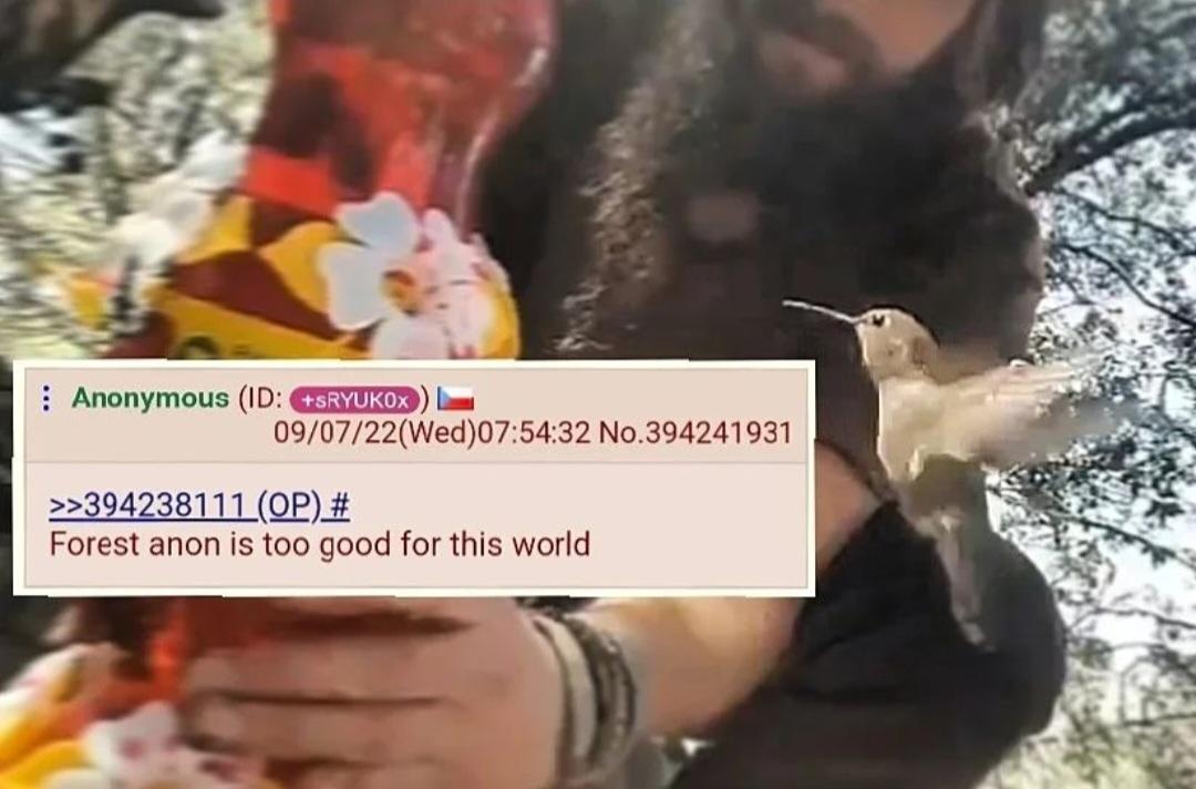 Hummingbird | Forest Anon | Know Your Meme