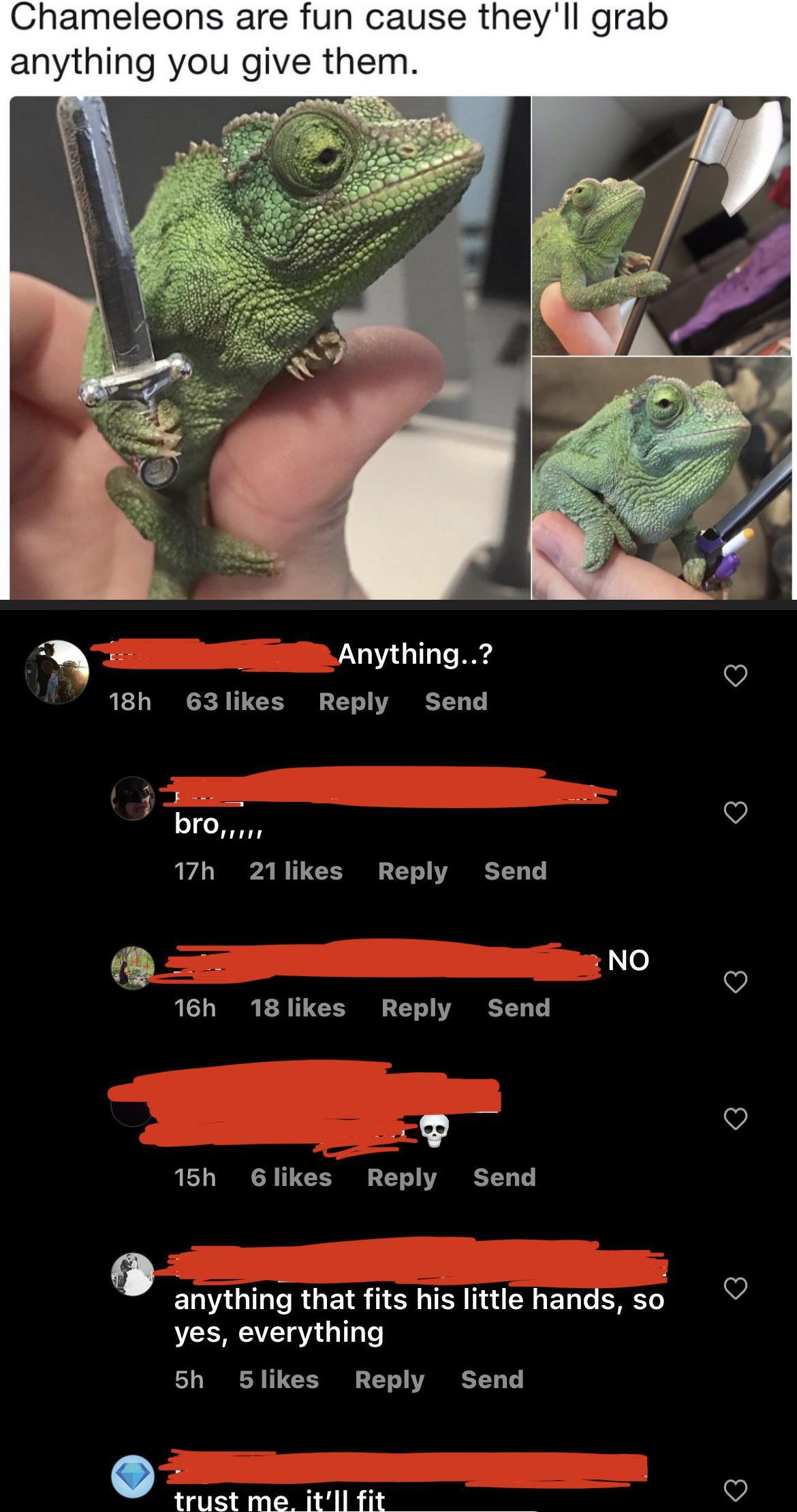 cursed chameleon | Know Your Meme