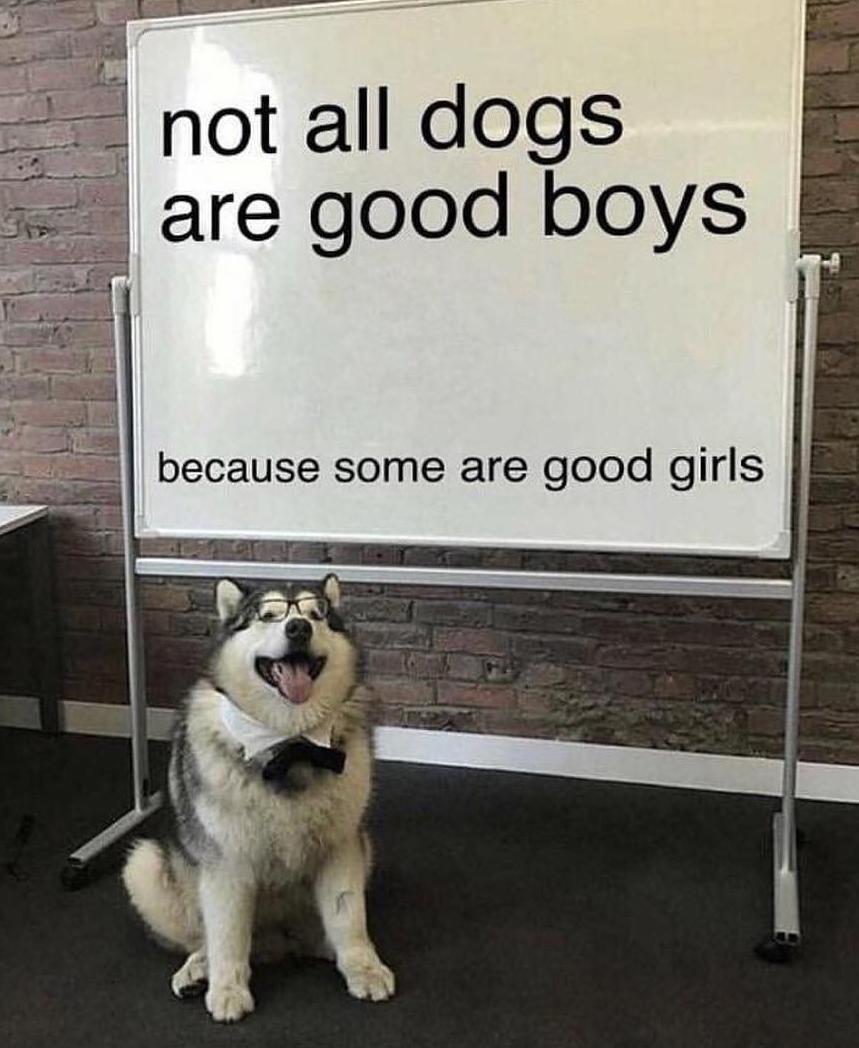 Free pat-pat for everyone | /r/wholesomememes | Wholesome Memes | Know ...