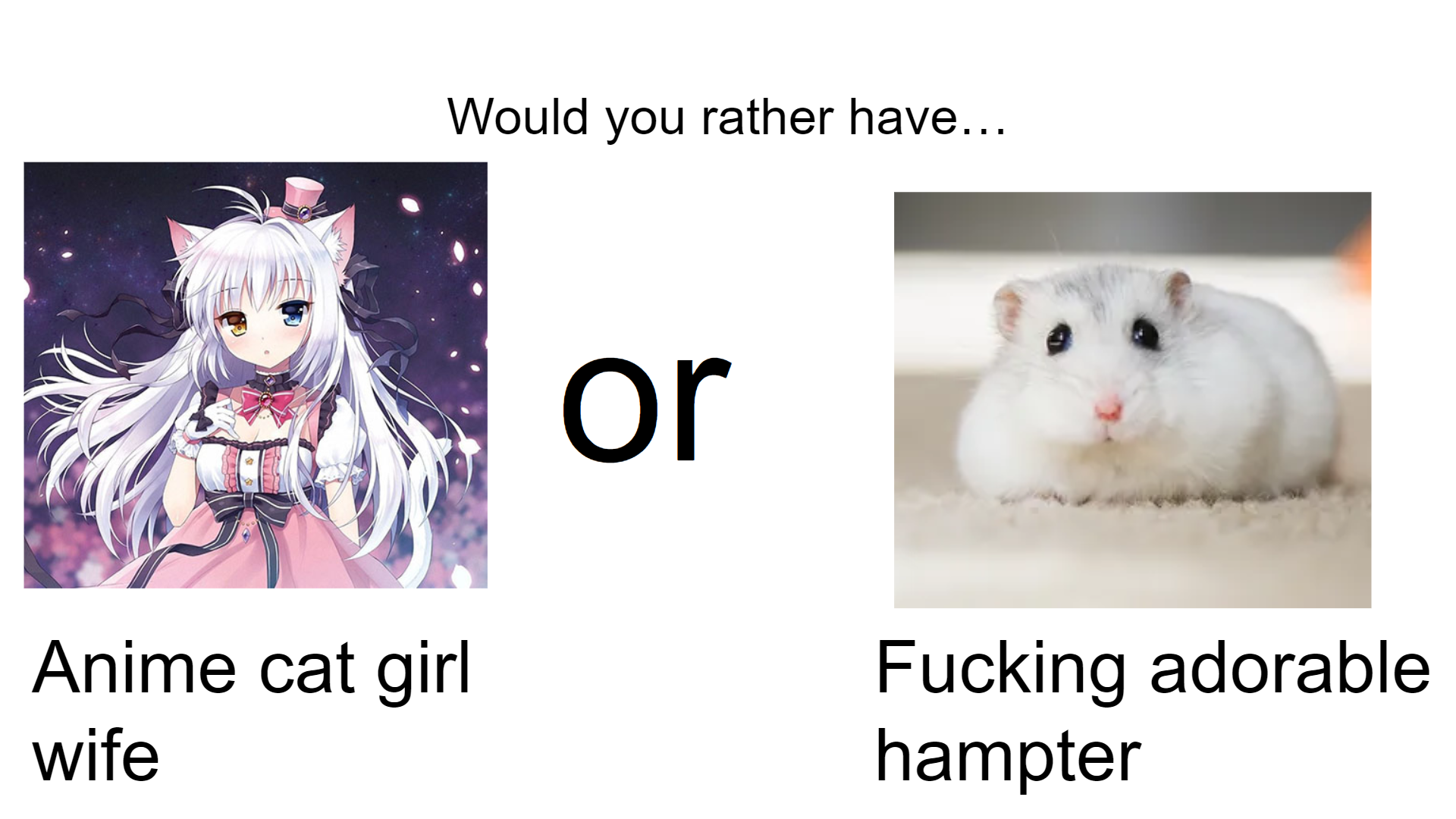 I'll take the hampter | /r/memes | Know Your Meme