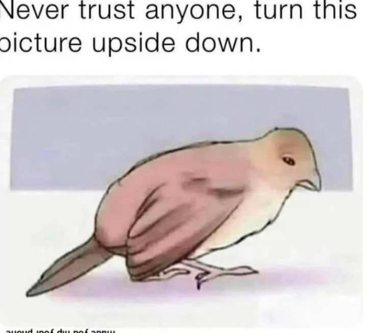 ok buddy | /r/okbuddyretard | OkBuddyRetard | Know Your Meme