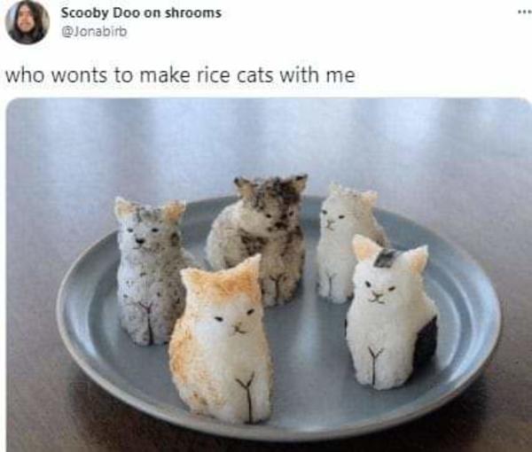 Rice and shine. | /r/wholesomememes | Wholesome Memes | Know Your Meme