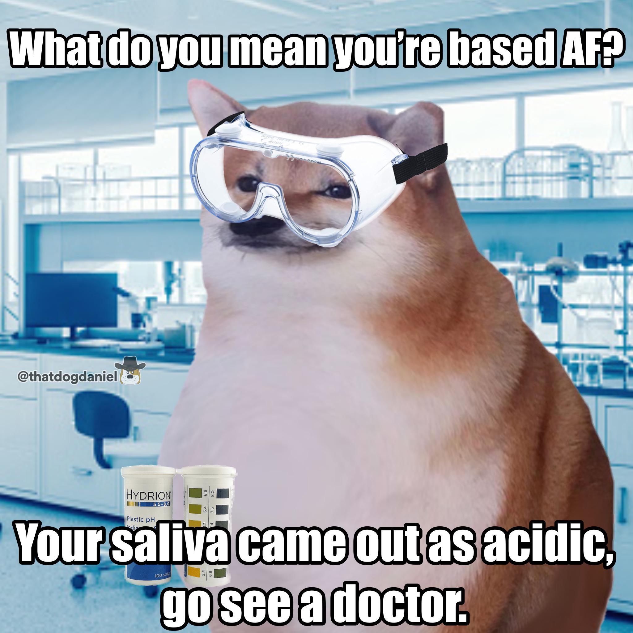 Le pH test has arrived | /r/dogelore | Ironic Doge Memes | Know Your Meme