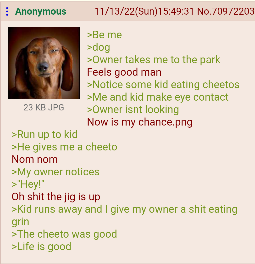 Anon's a dog | /r/Greentext | Greentext Stories | Know Your Meme