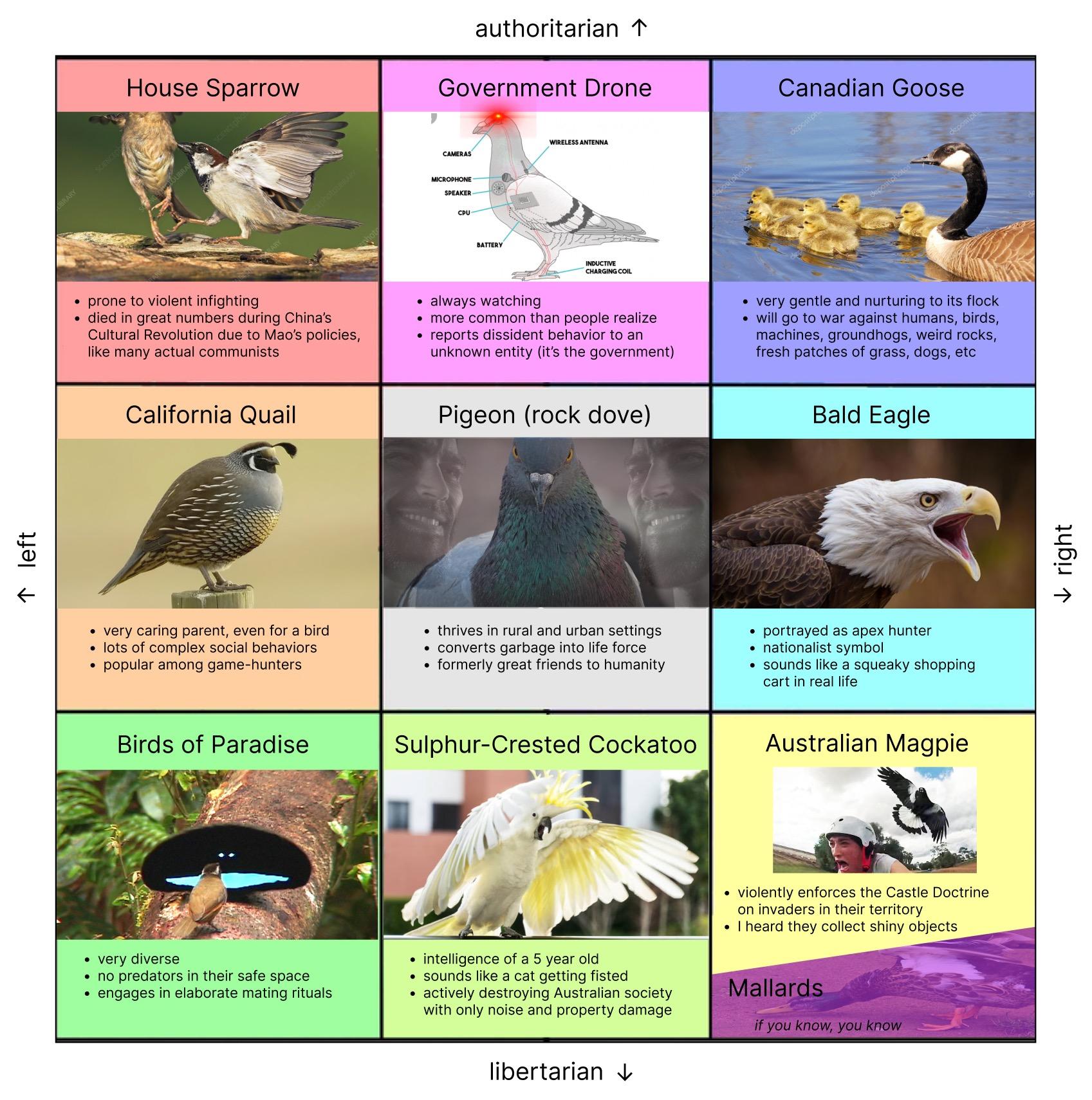 My favorite birds on the 3x3 political compass (including government ...