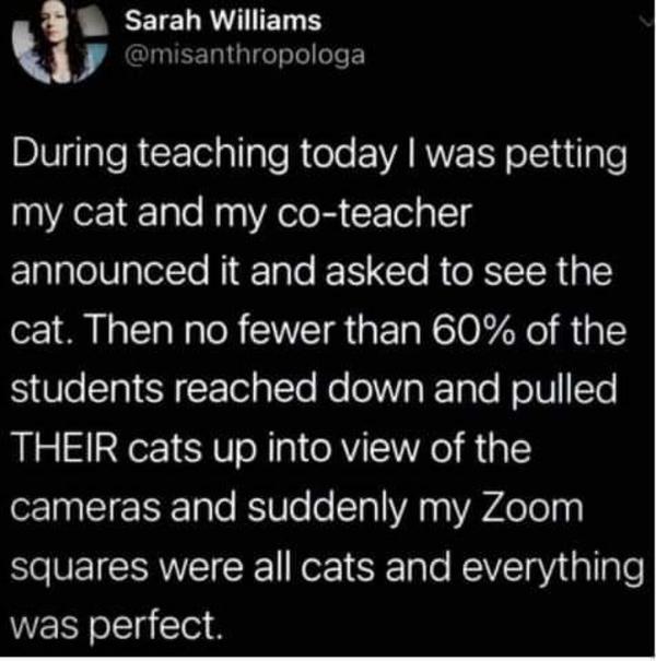 The zoom squares i want to be in | /r/wholesomememes | Wholesome Memes ...