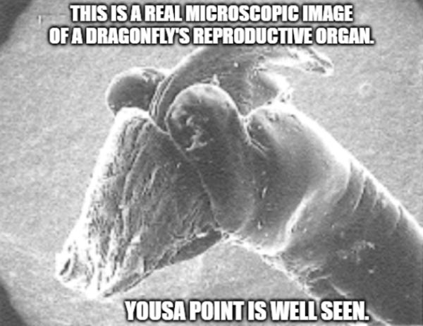 Exsqueeze me??? | /r/PrequelMemes | Prequel Memes | Know Your Meme