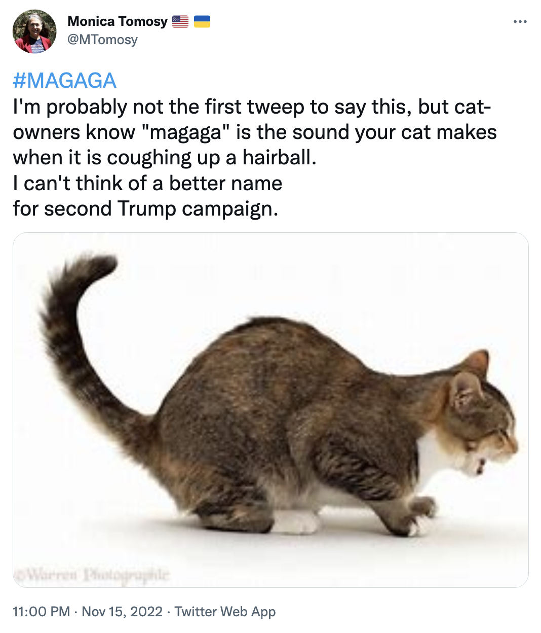 MAGAGA Meme | MAGAGA / Make America Great And Glorious Again | Know ...