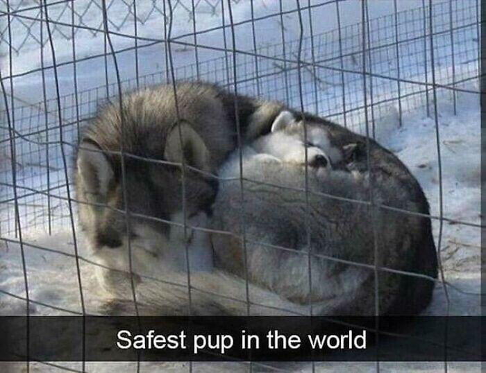 Heart Melting | /r/wholesomememes | Wholesome Memes | Know Your Meme