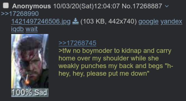 >tfw no boymoder to kidnap and carry | Boymoder | Know Your Meme