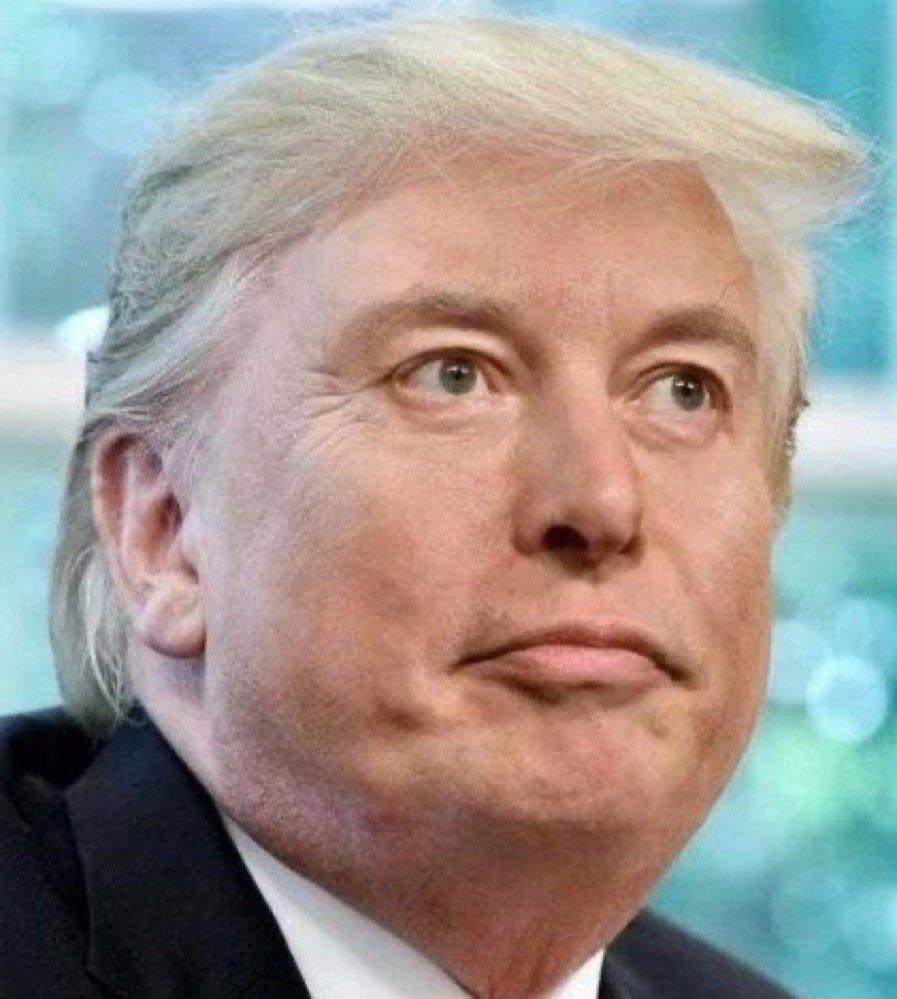 Face Meld Of Elon And Donald | Donald Trump's Twitter Reinstatement ...