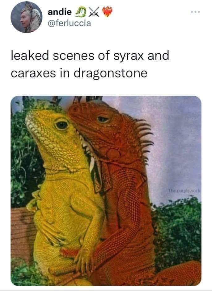 Do dragons take after their riders or is the other way around? | /r ...