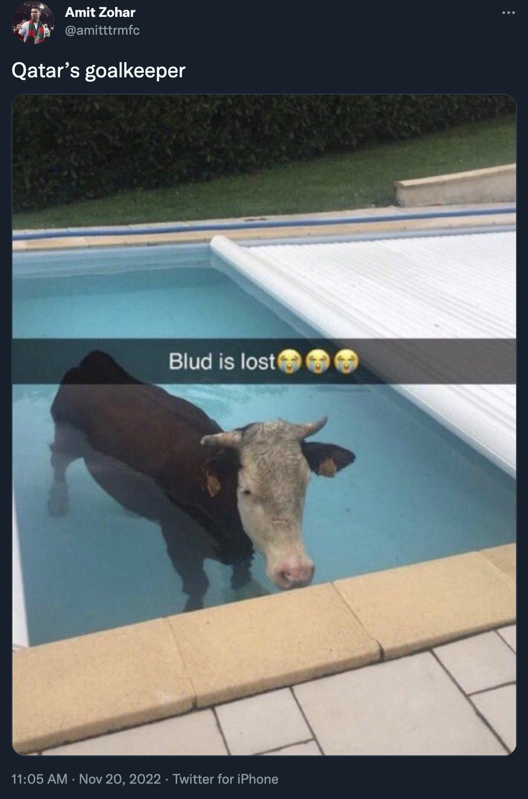 Qatar Goalkeeper Memes | Qatar Goalkeeper | Know Your Meme