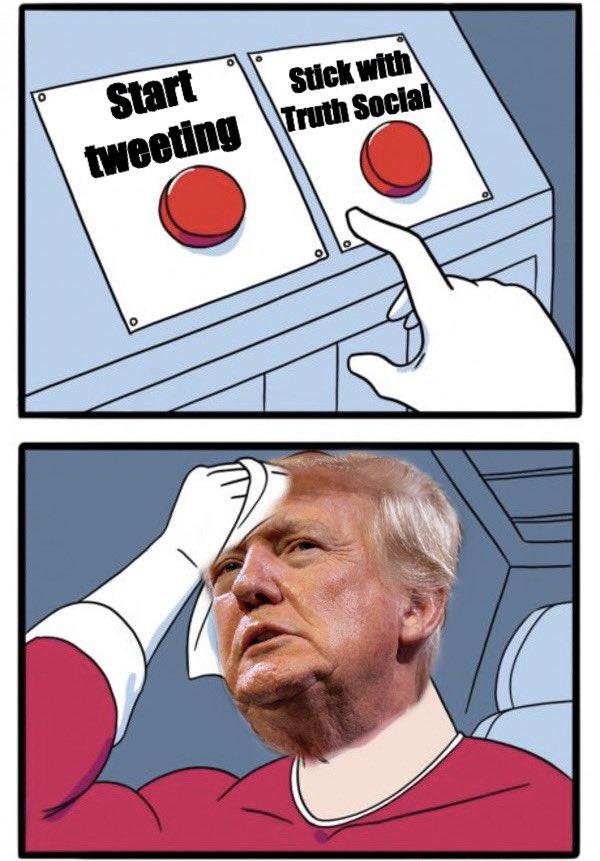 Trump's Dilemma | Donald Trump's Twitter Reinstatement | Know Your Meme