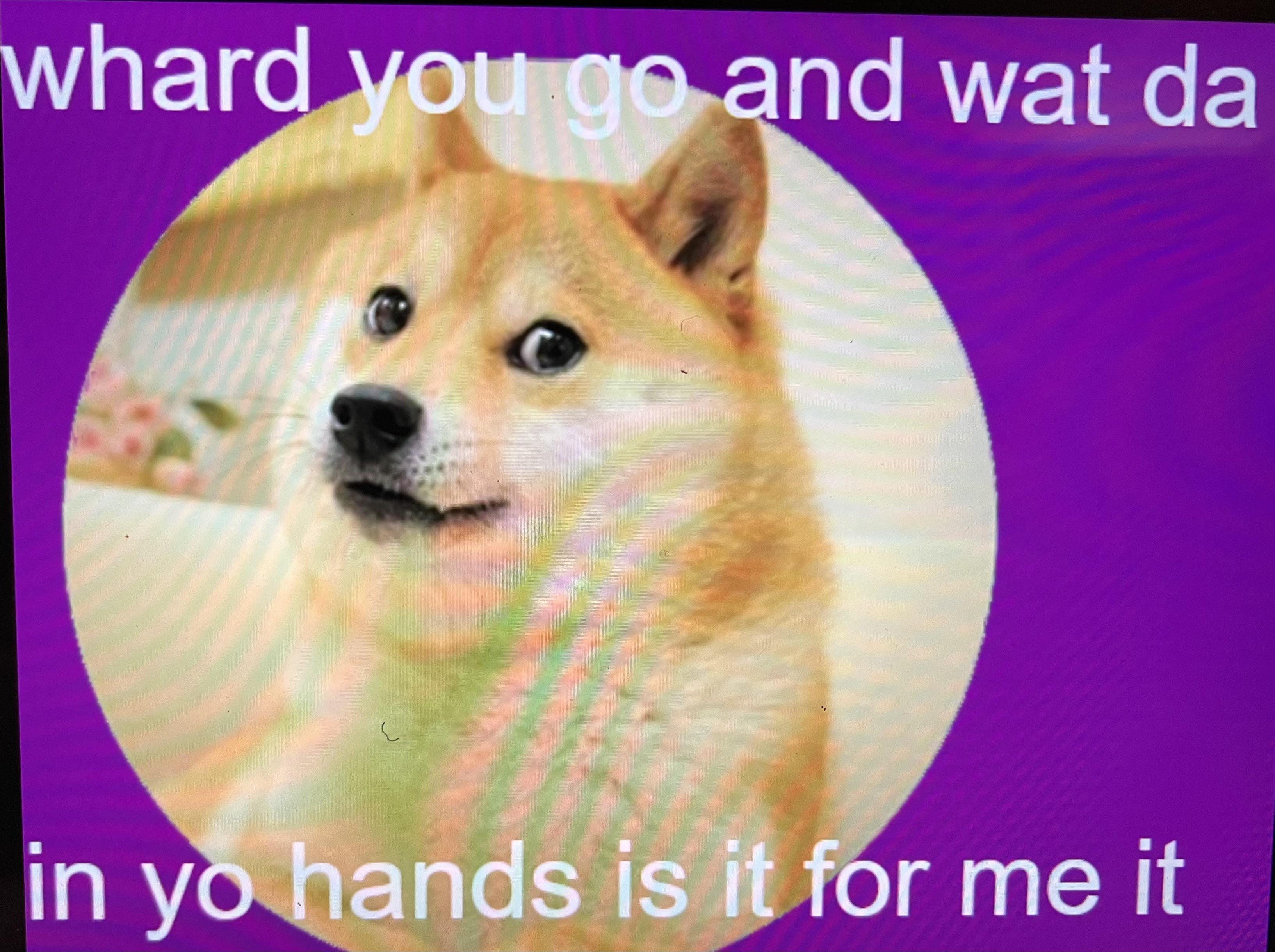 My 8yo made their first meme on a school laptop with a “coding” book ...