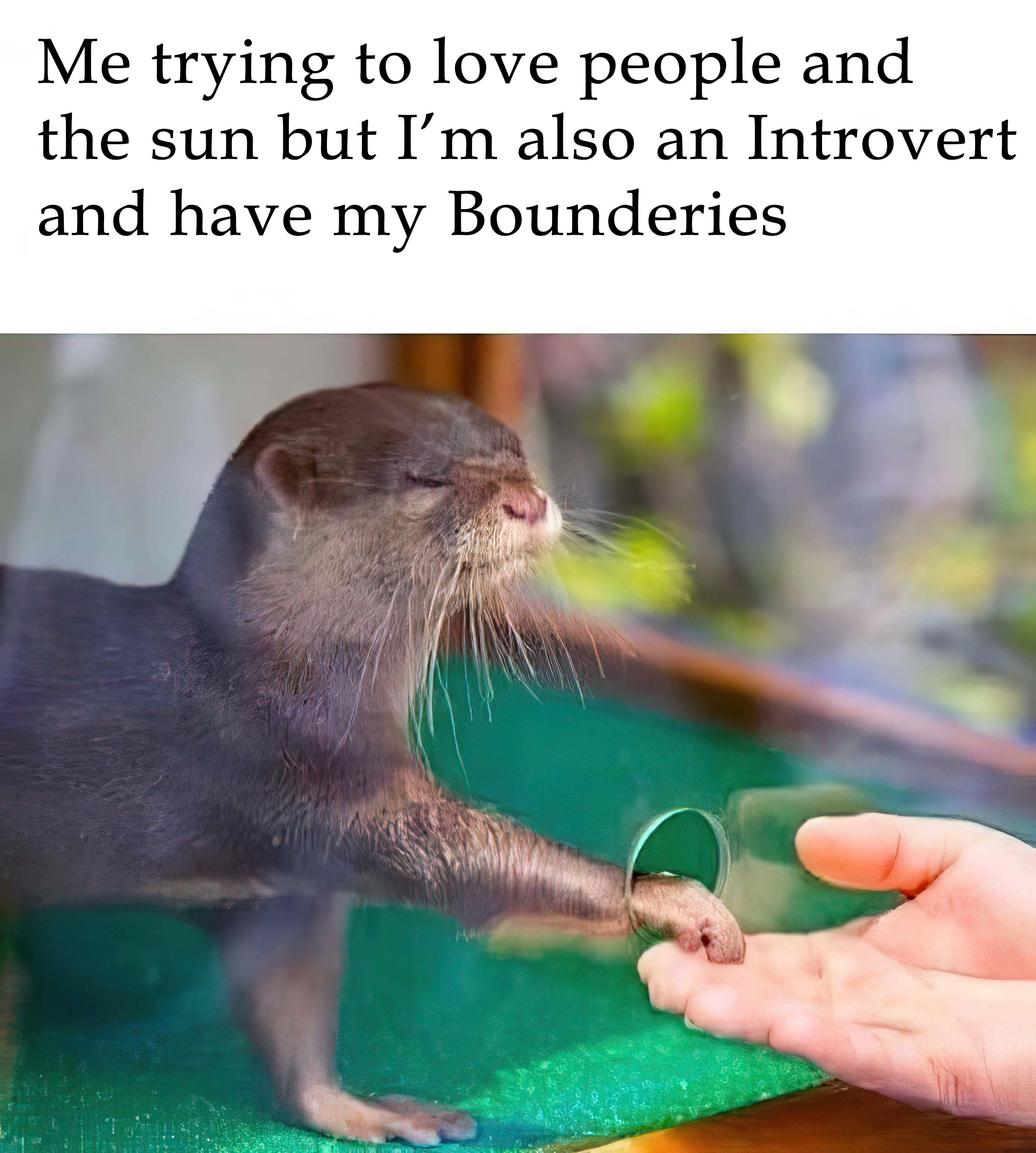I have my limits | /r/wholesomememes | Wholesome Memes | Know Your Meme
