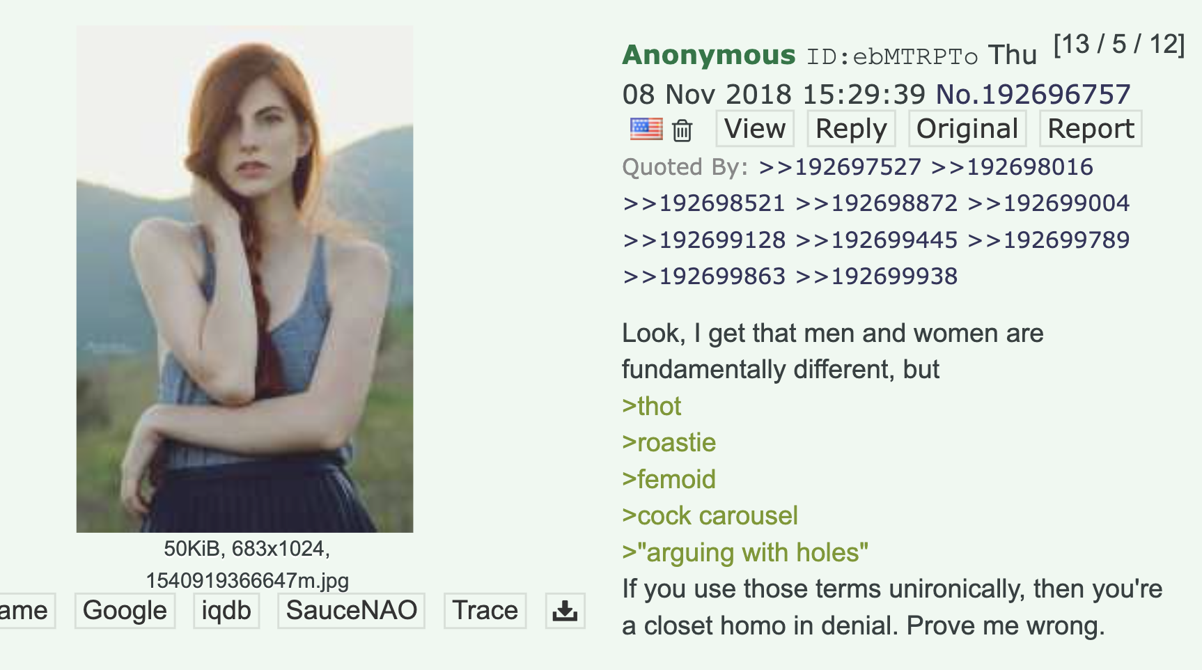 Femoid 4chan Greentext | Femoid | Know Your Meme