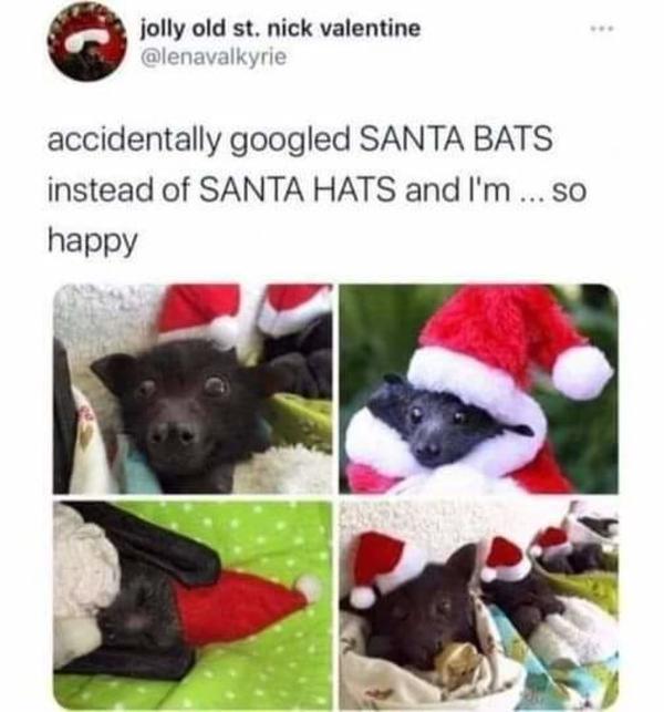 Very festive bats | /r/wholesomememes | Wholesome Memes | Know Your Meme
