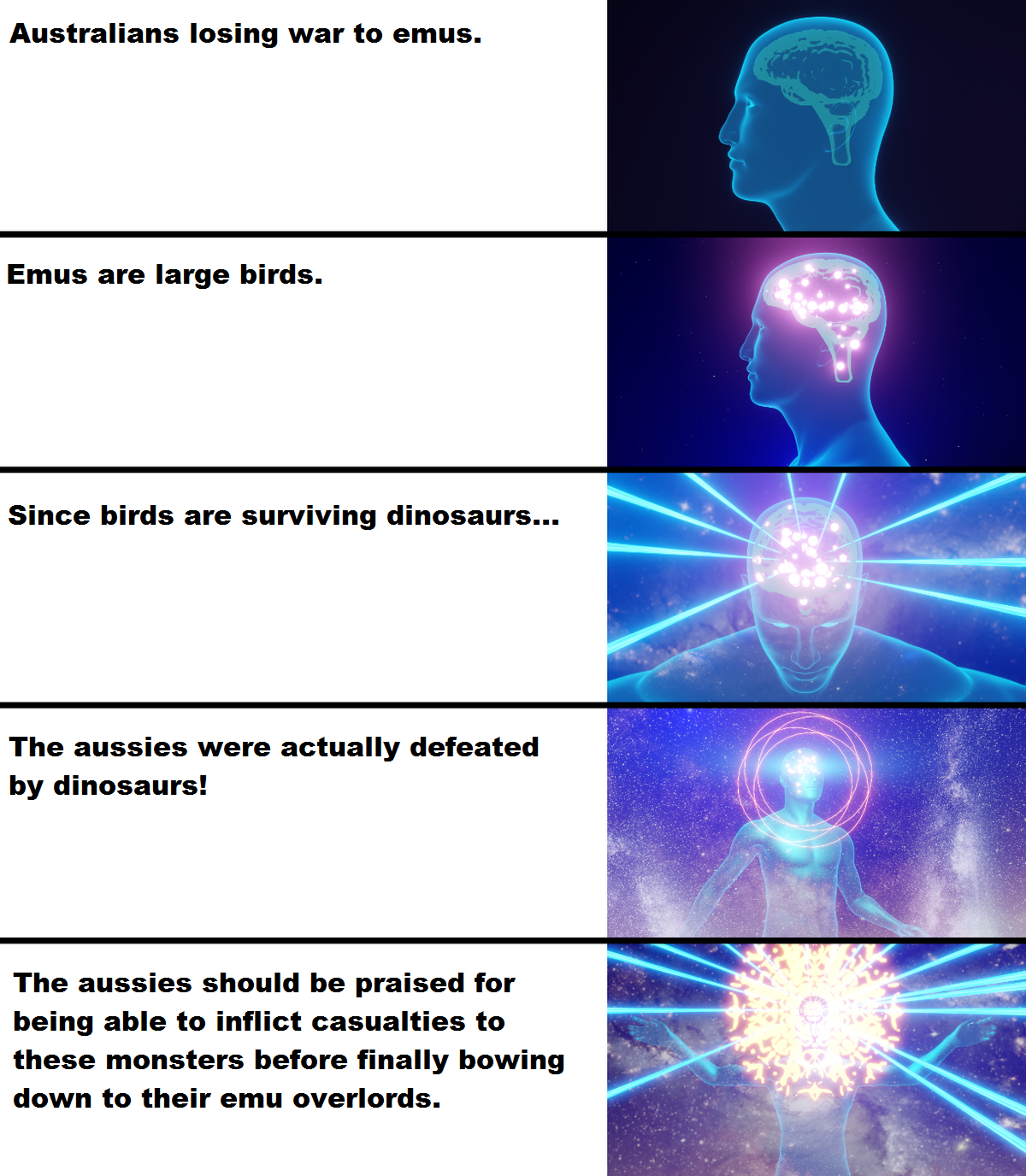 Give Aussies Some Credit | Emu War | Know Your Meme