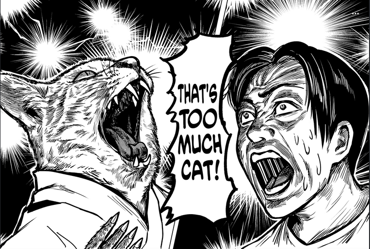 Too much cat | Anime / Manga | Know Your Meme
