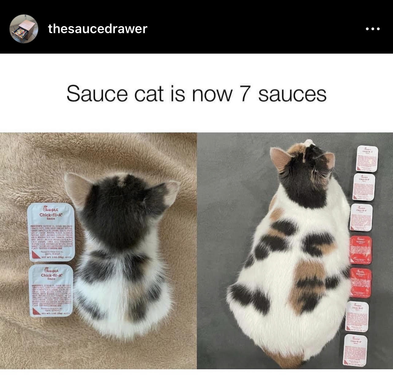 The best way to measure growth | /r/memes | Know Your Meme