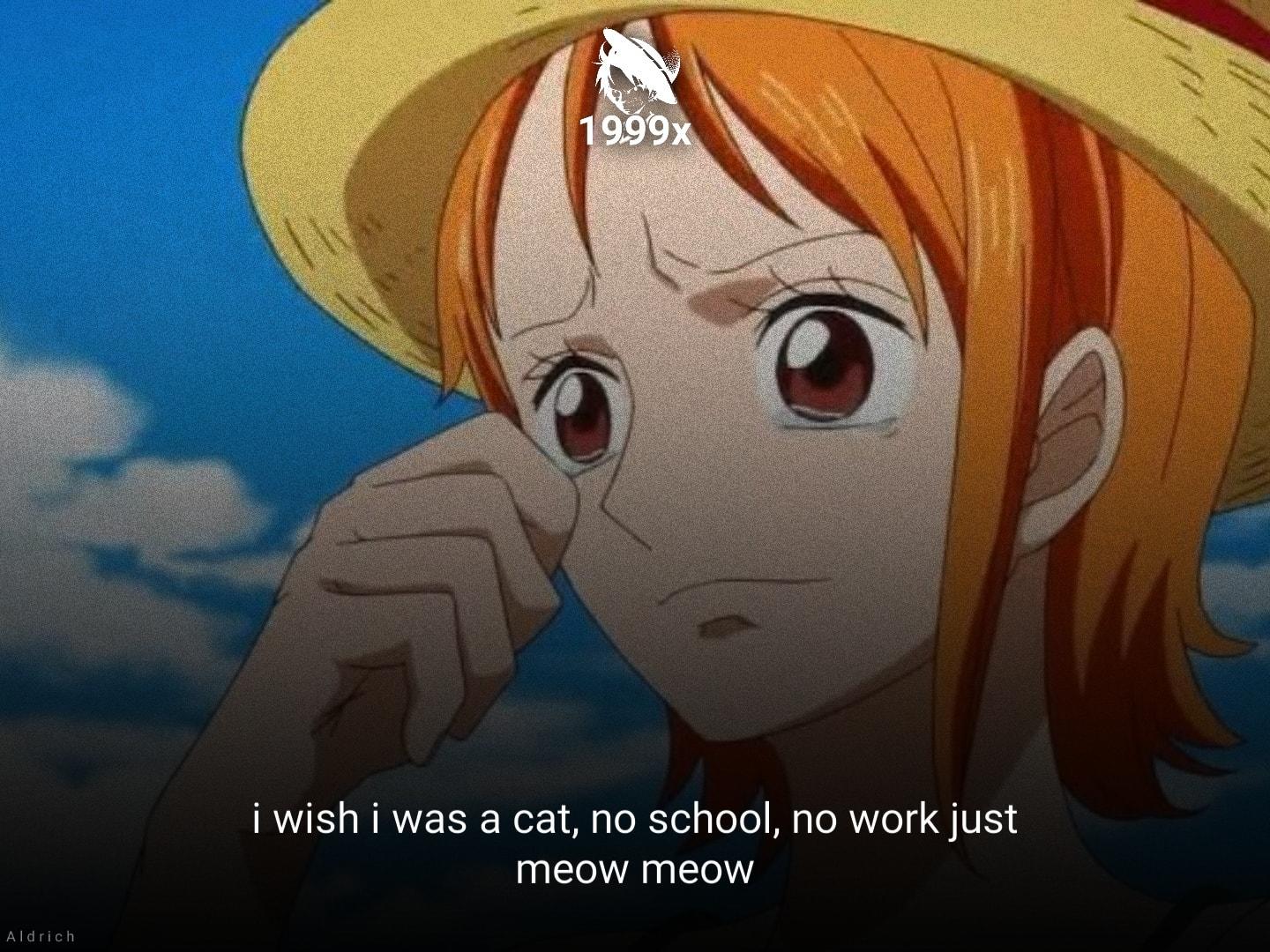one piece meow meow | I Wish I Was a Cat, No School, No Works, Just ...