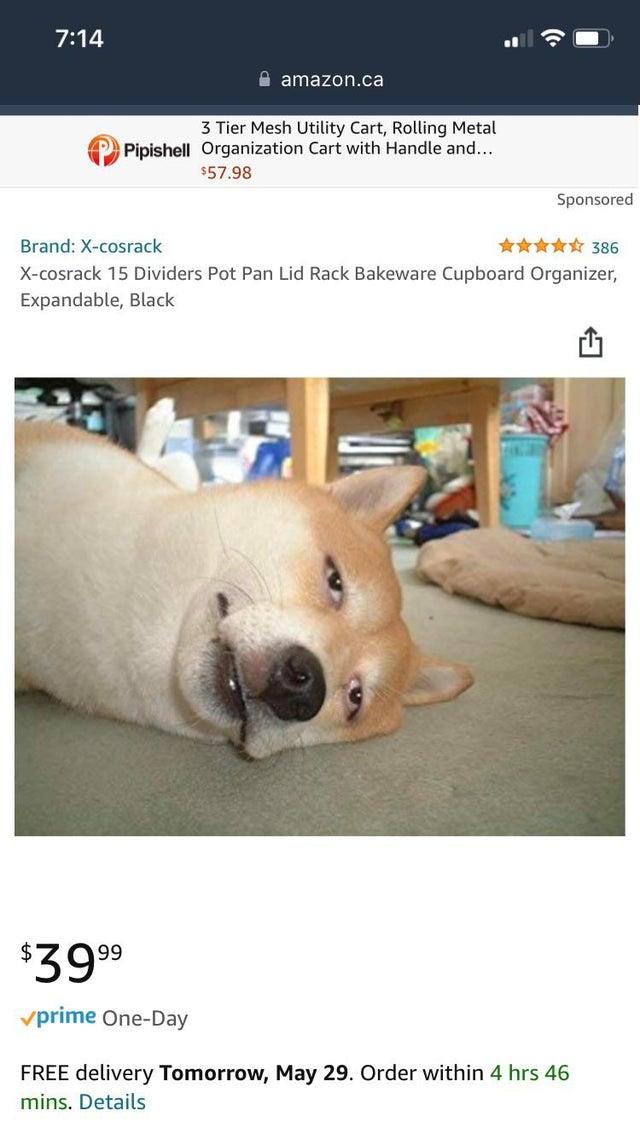 This Cupboard Organizer | Know Your Meme