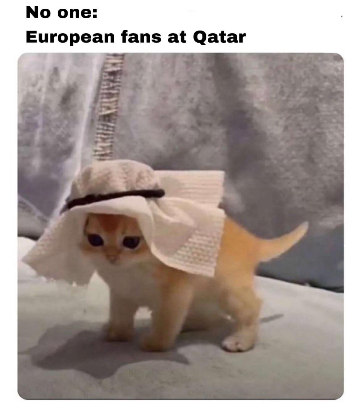 Qatar = bad | /r/dankmemes | 2022 FIFA World Cup Qatar | Know Your Meme