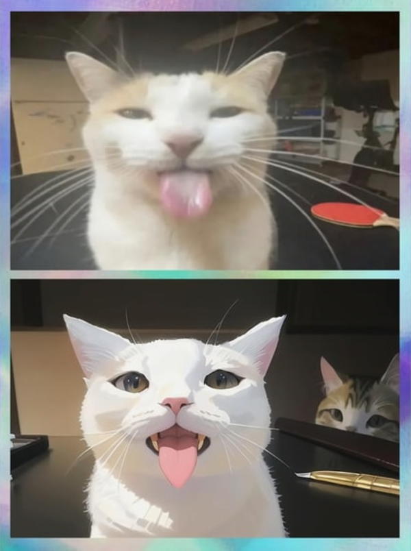 Different Dimension Bleh Cat | Different Dimension Me | Know Your Meme