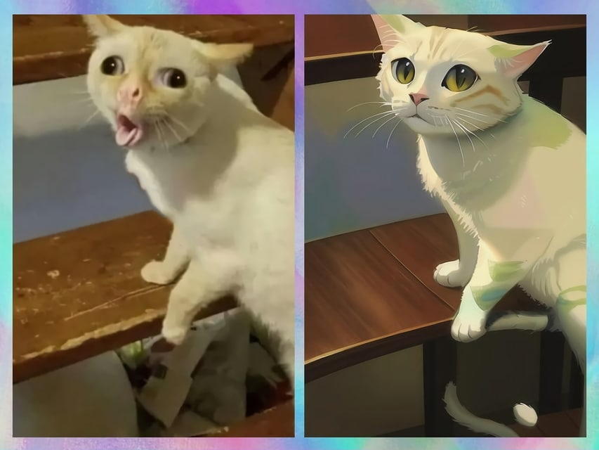 Different Dimension Coughing Cat | Different Dimension Me | Know Your Meme