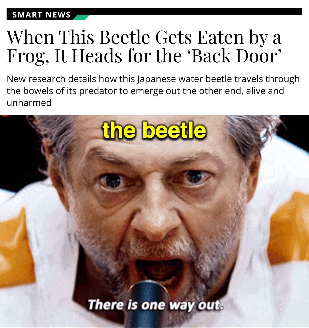 Sometimes the way to freedom is to slightly tweek the rules! Hallmark ...