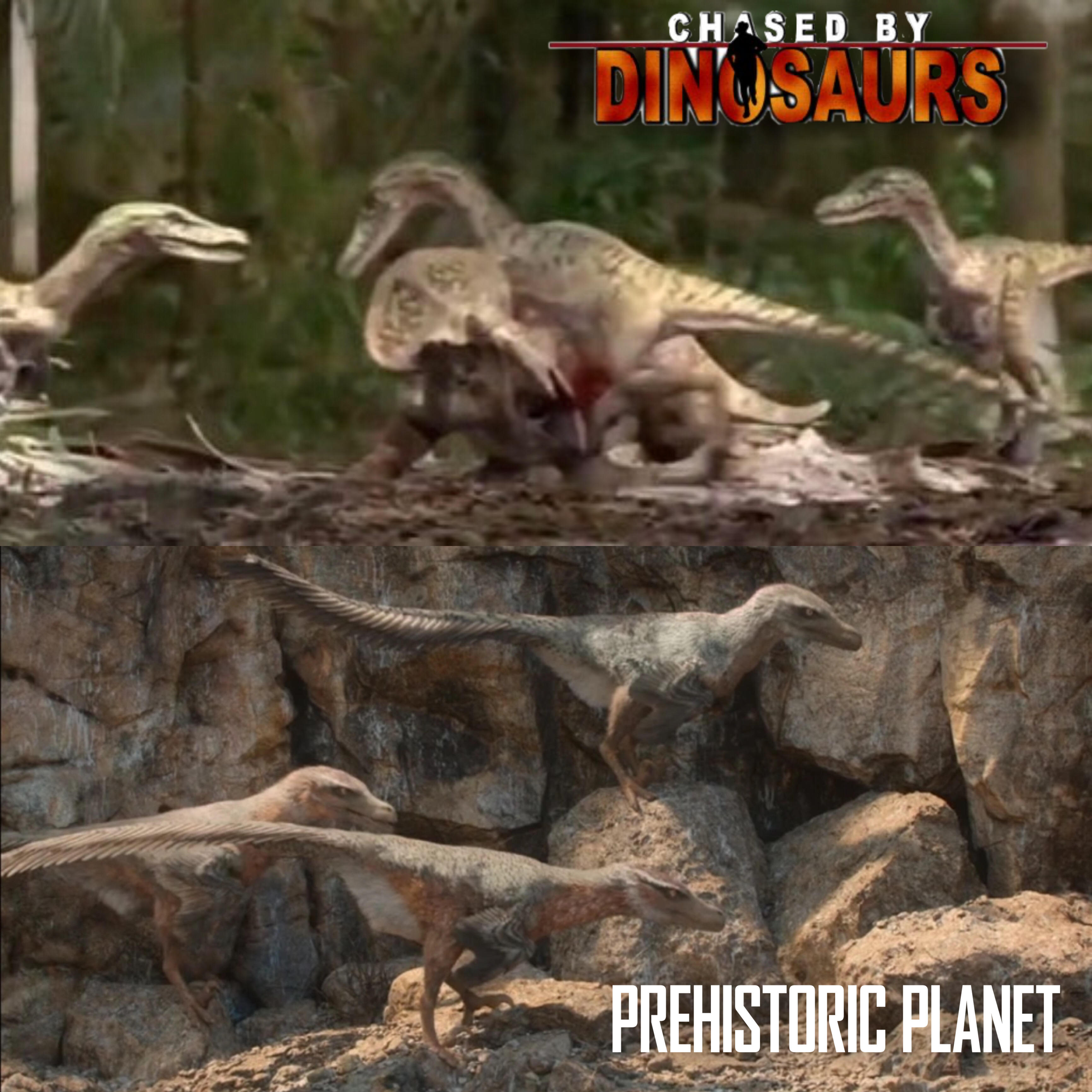 Velociraptor Pack | Prehistoric Planet | Know Your Meme