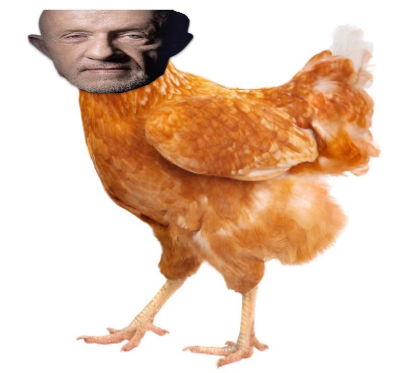 chicken finger | /r/okbuddyretard | OkBuddyRetard | Know Your Meme