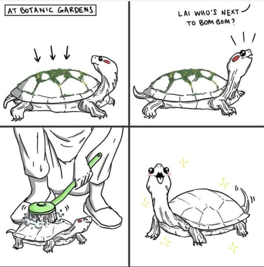 Scrub scrub | /r/wholesomememes | Wholesome Memes | Know Your Meme