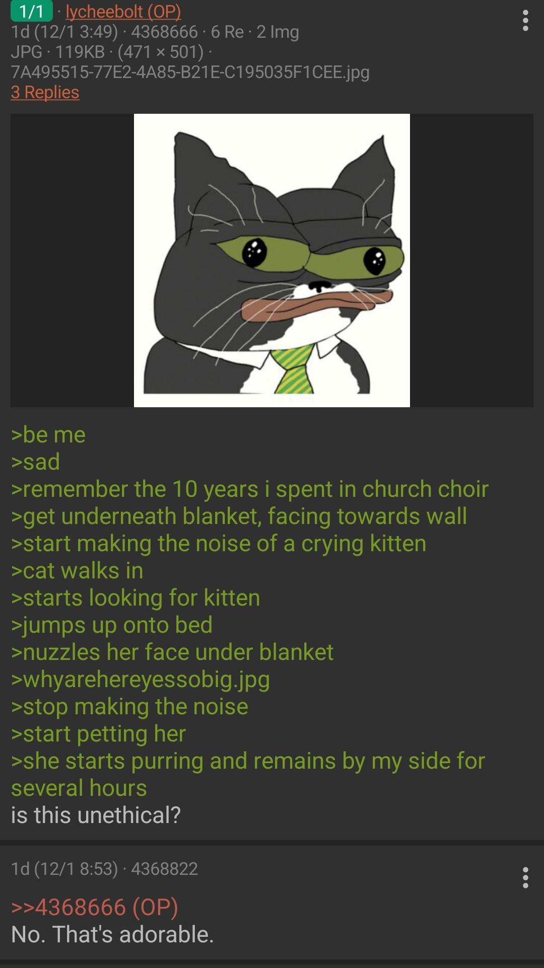 Anon and his cat | /r/Greentext | Greentext Stories | Know Your Meme