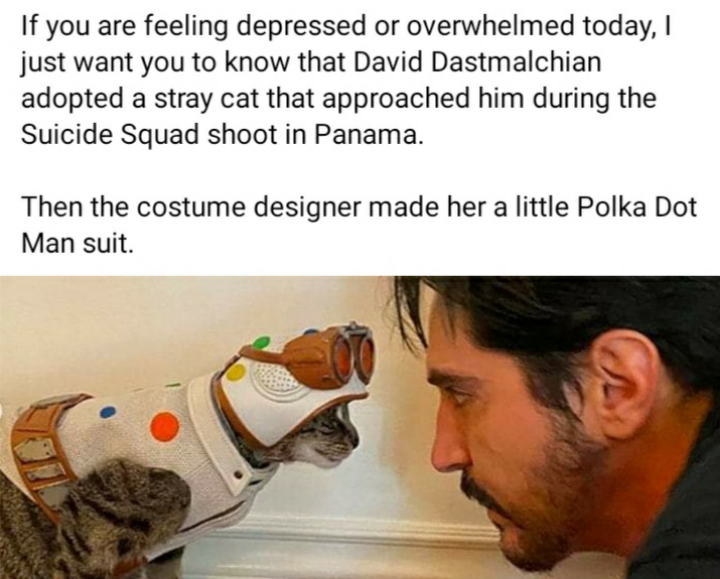 Sidekick origin story | /r/wholesomememes | Wholesome Memes | Know Your ...