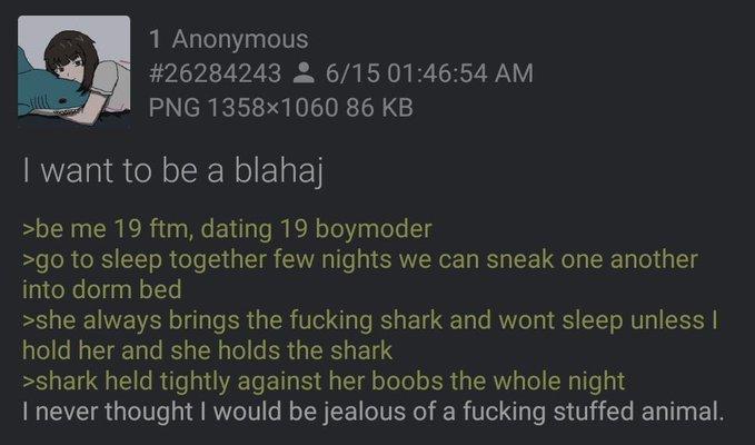 Anon wants to be a blahaj | Boymoder | Know Your Meme