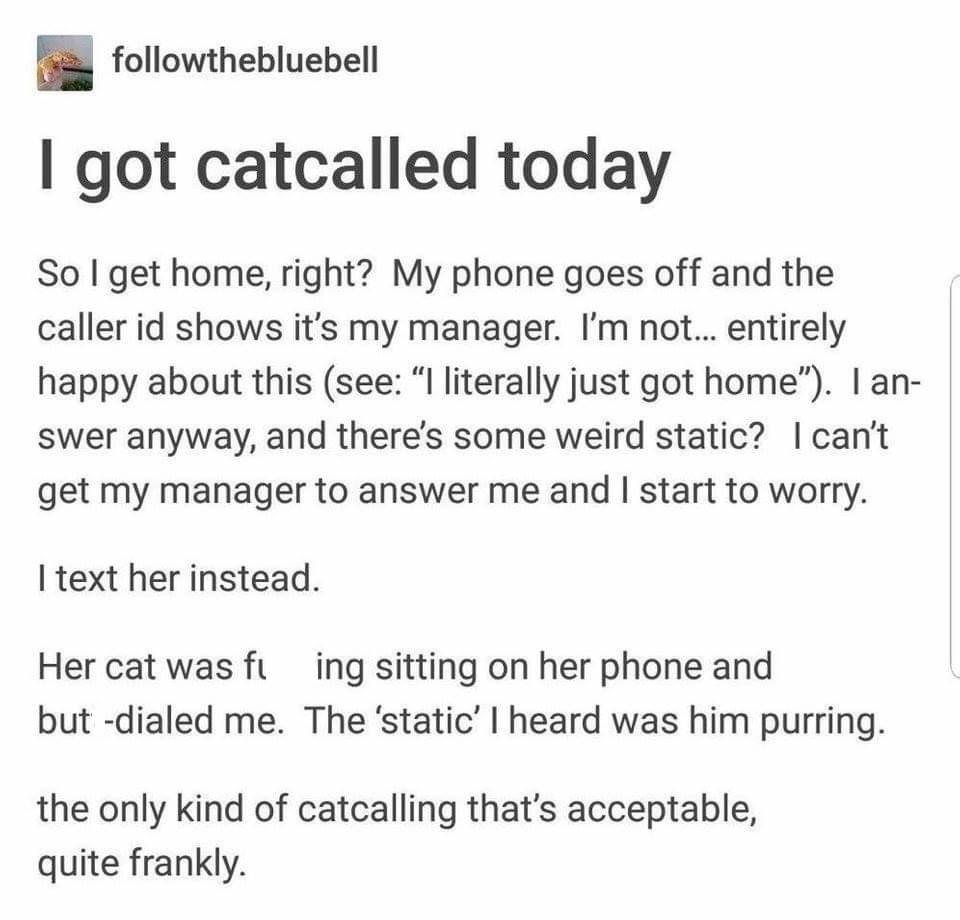 That's a hoot! | /r/wholesomememes | Wholesome Memes | Know Your Meme