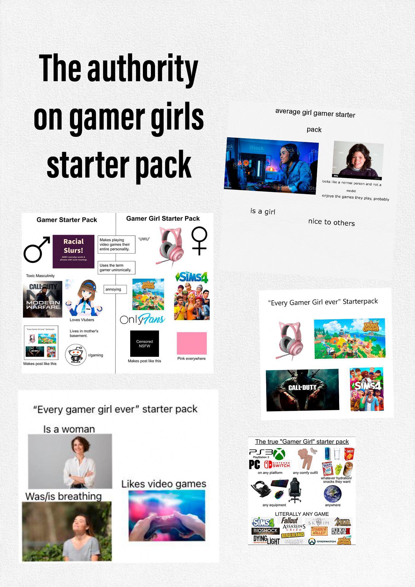 The authority on gamer girls starter pack | /r/starterpacks | Starter ...