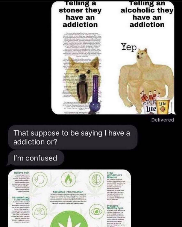 Stoner Vs Alcoholic | Swole Doge vs. Cheems | Know Your Meme