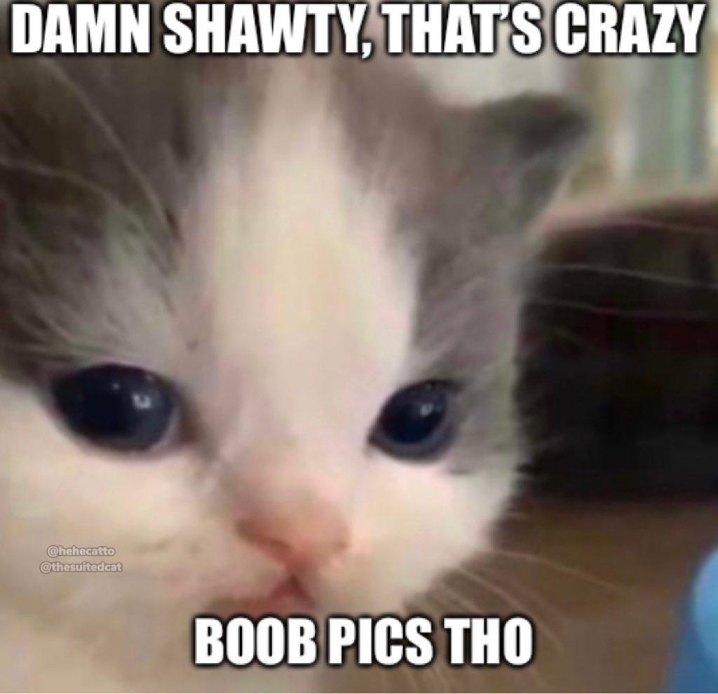 boob pics tho | Damn That's Crazy | Know Your Meme