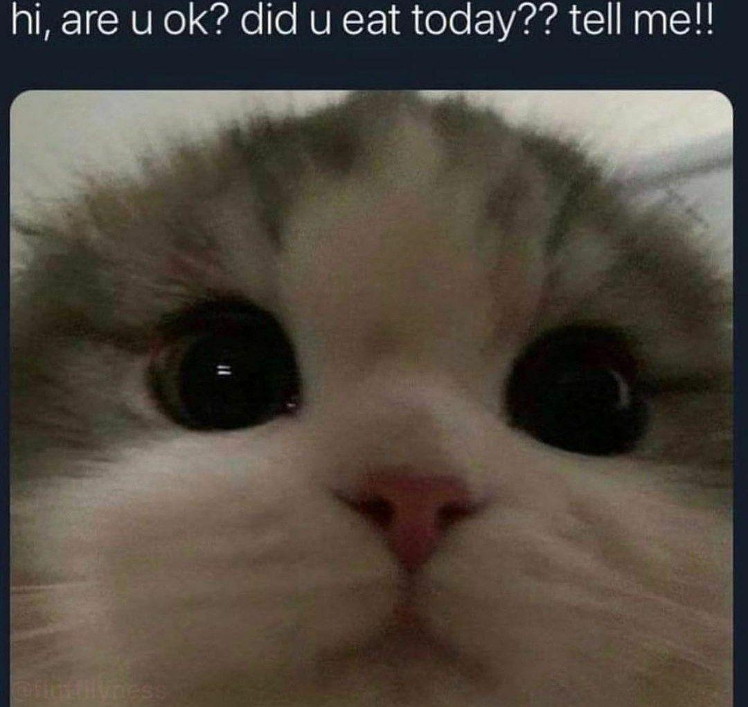 Just a daily check up reminder :) | /r/wholesomememes | Wholesome Memes ...