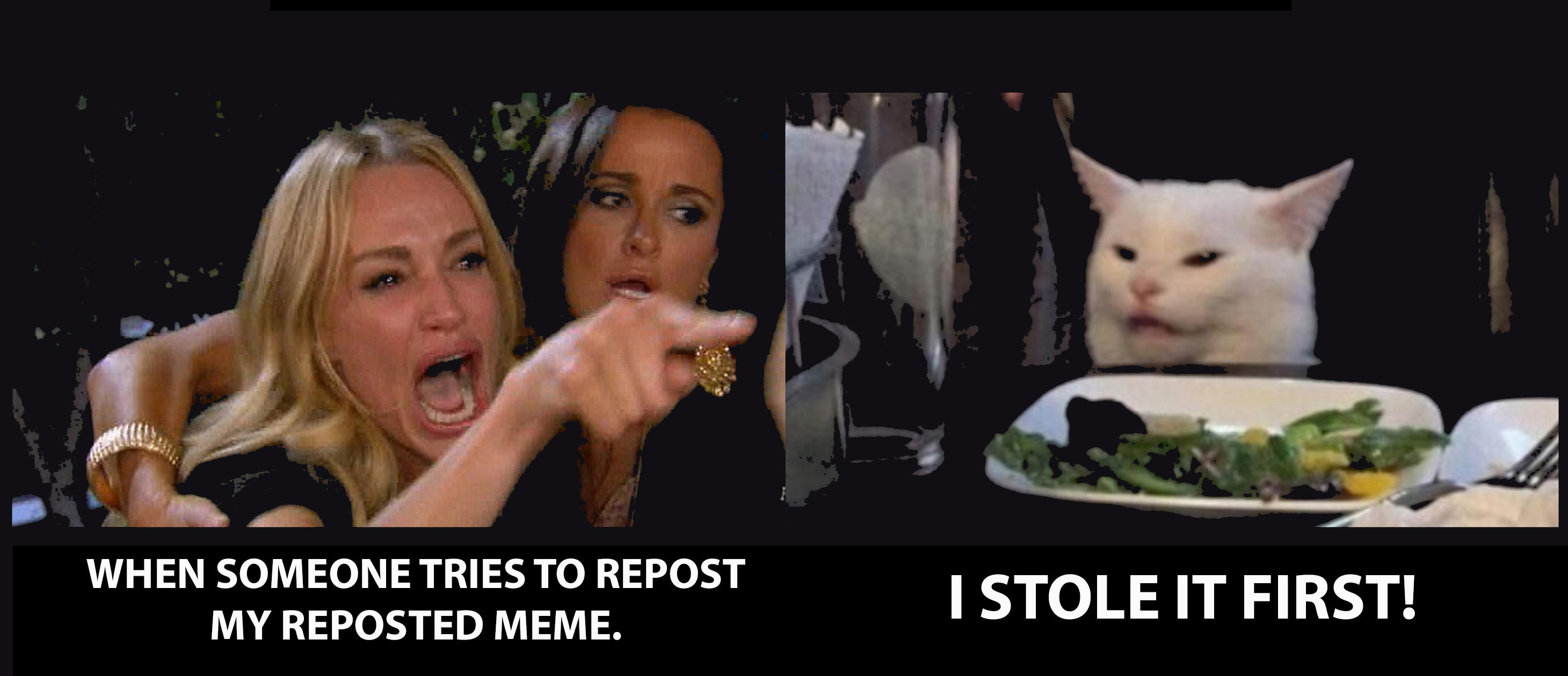 Reposted MEME | Woman Yelling at a Cat | Know Your Meme