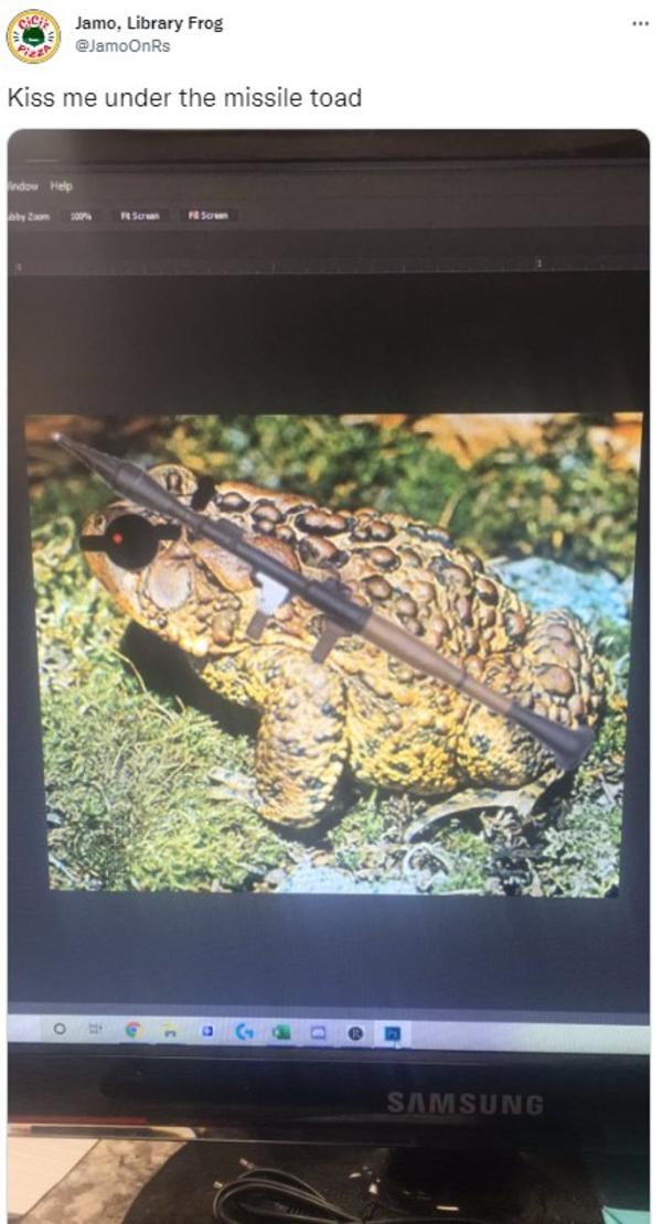 Kiss me under the missile toad | Missile Toad | Know Your Meme