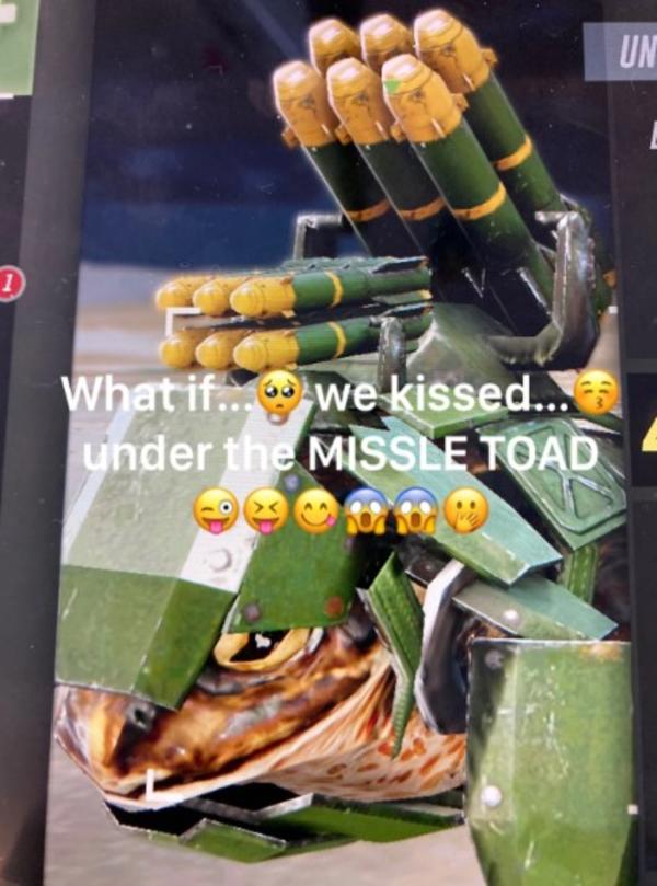 what if... we kissed under the missile toad | Missile Toad | Know Your Meme