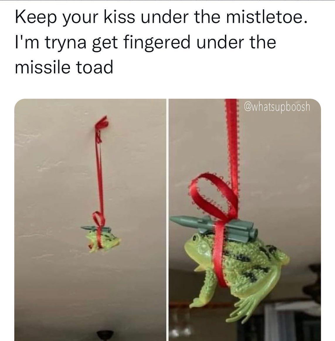 fingered under the missile toad | Missile Toad | Know Your Meme
