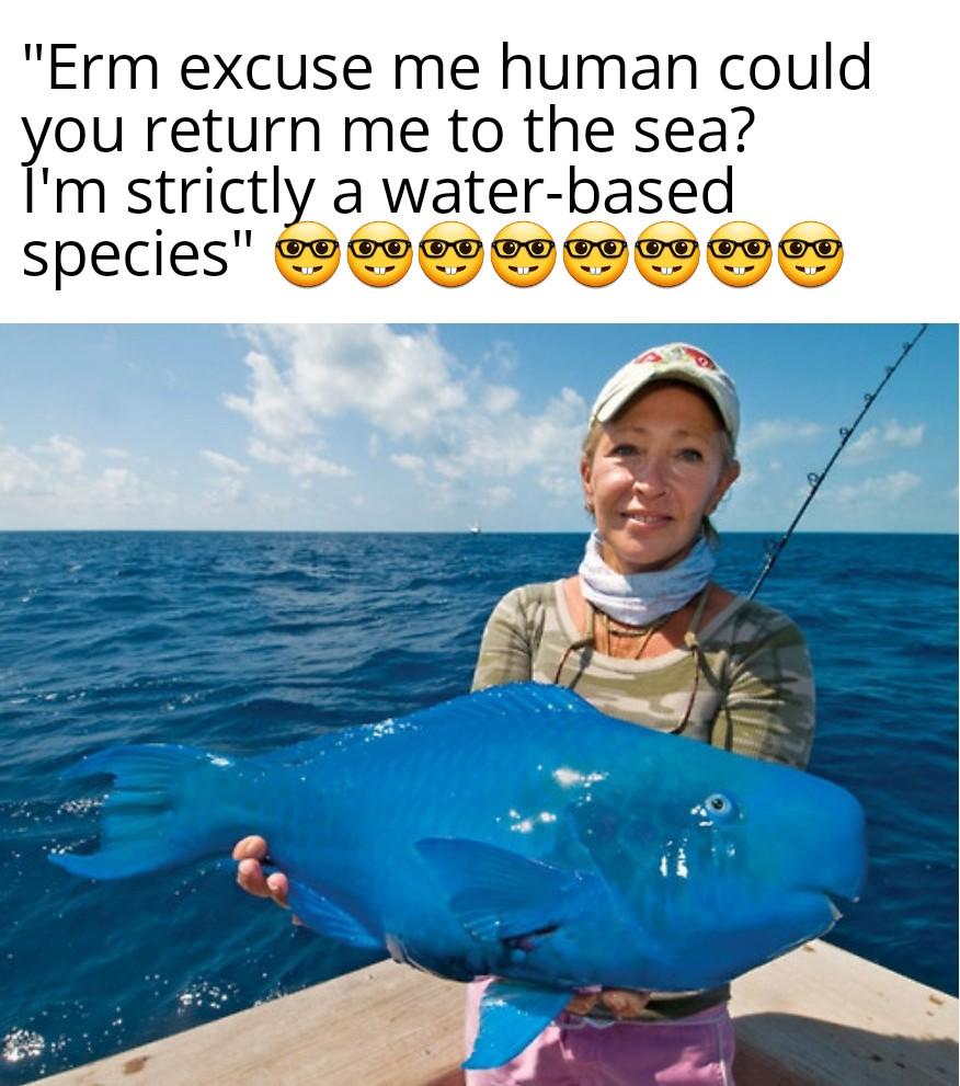 The return on the nerd fishes | /r/okbuddyretard | OkBuddyRetard | Know ...