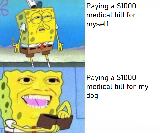 dogs > humans | /r/memes | SpongeBob's Wallet | Know Your Meme
