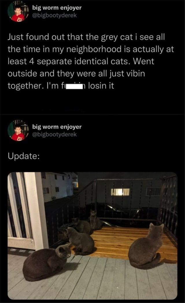 Clones | Know Your Meme